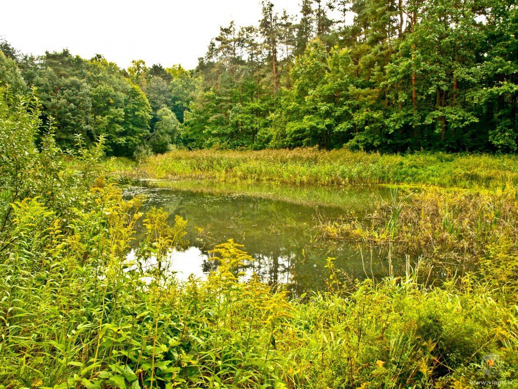 Elku saliņa | Apskates objekti Valmierā, Latvijā